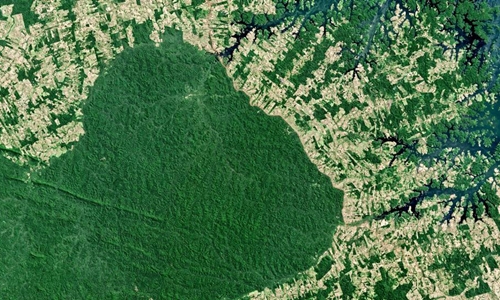 Paraísos fiscales que alimenta la destrucción de los bosques ...